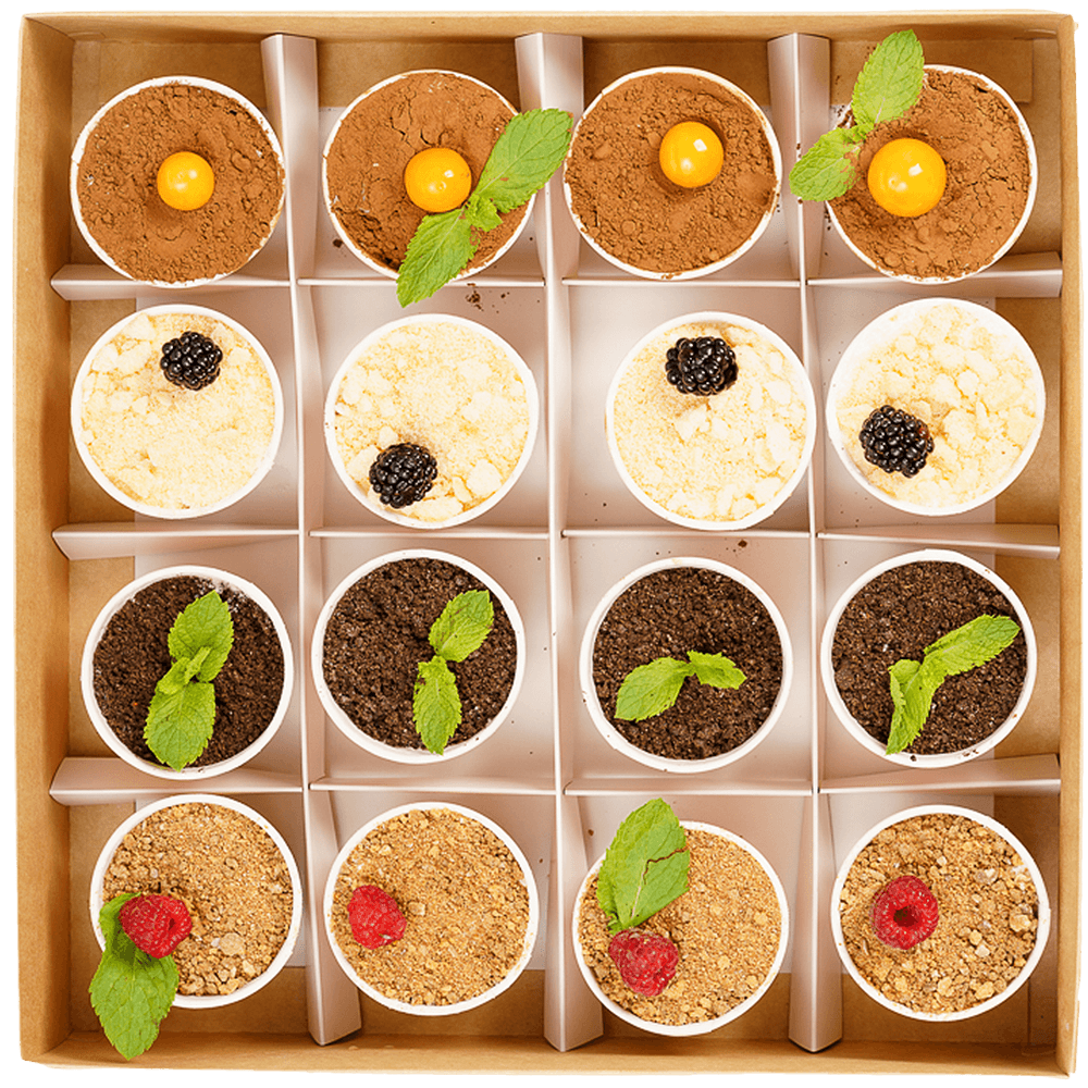 Trifle BOX - Bulldog BOX